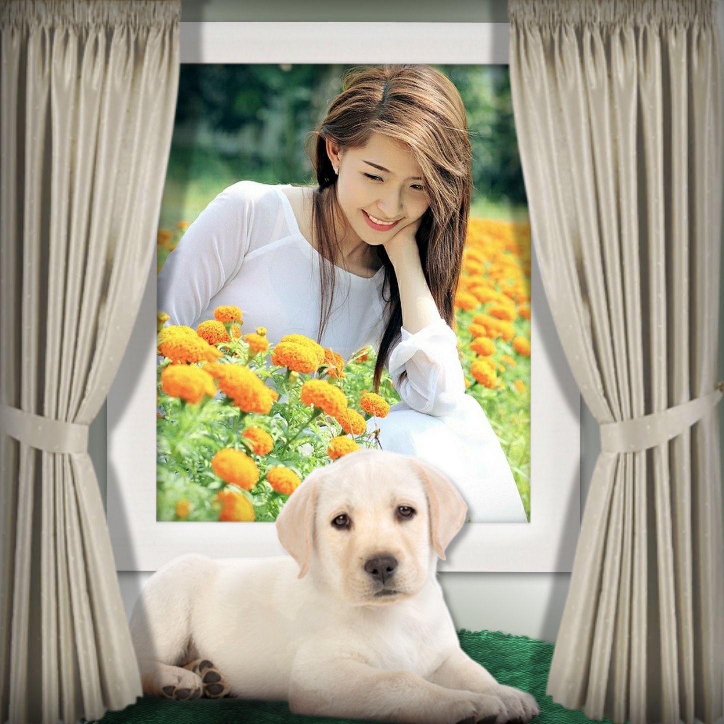 Elizabeth's CATS & DOGS 🐱 🐶 - Dogs Labrador Pets - Dogs Labrador Pets ...