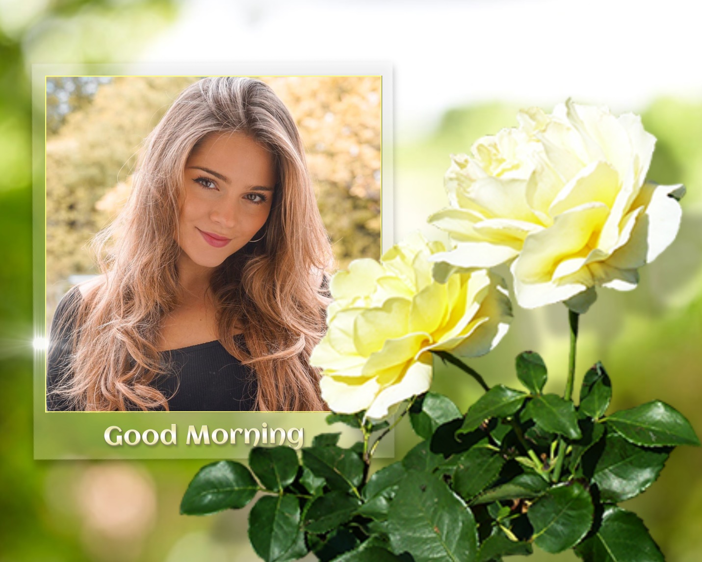 Elizabeth's GOOD MORNING/DAY/NIGHT ⭐️ 2/3 - Good Morning Yellow Rose ...