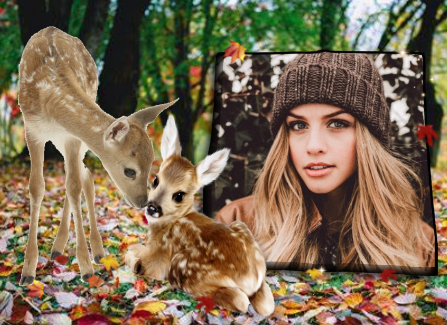 Elizabeth's AUTUMN/FALL 🍁 1/2 - Autumn Fall Falling Leaves - Autumn ...