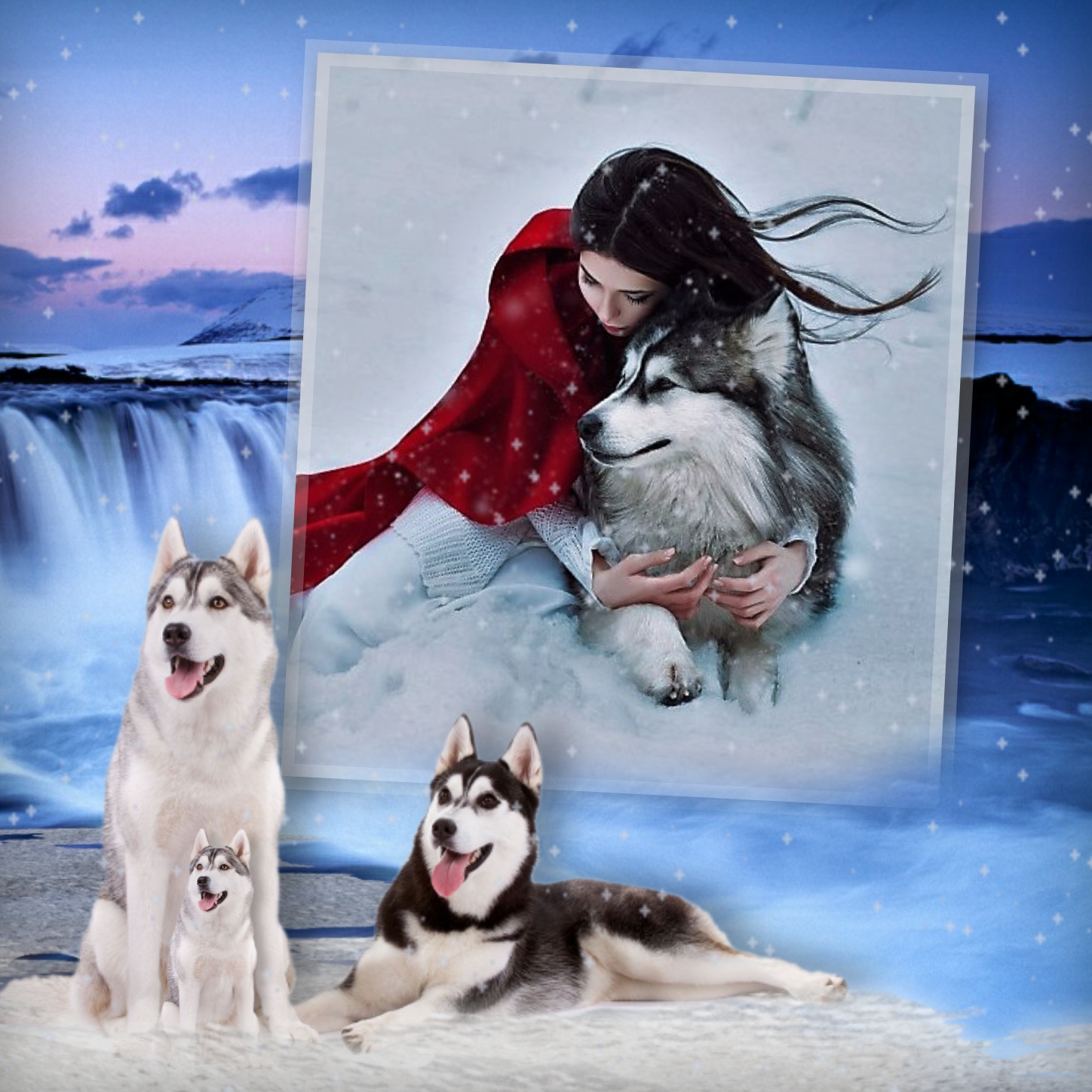 Elizabeth's WINTER ️ 2/2 - Winter Winter Dog Dogs - Winter Winter Dog ...