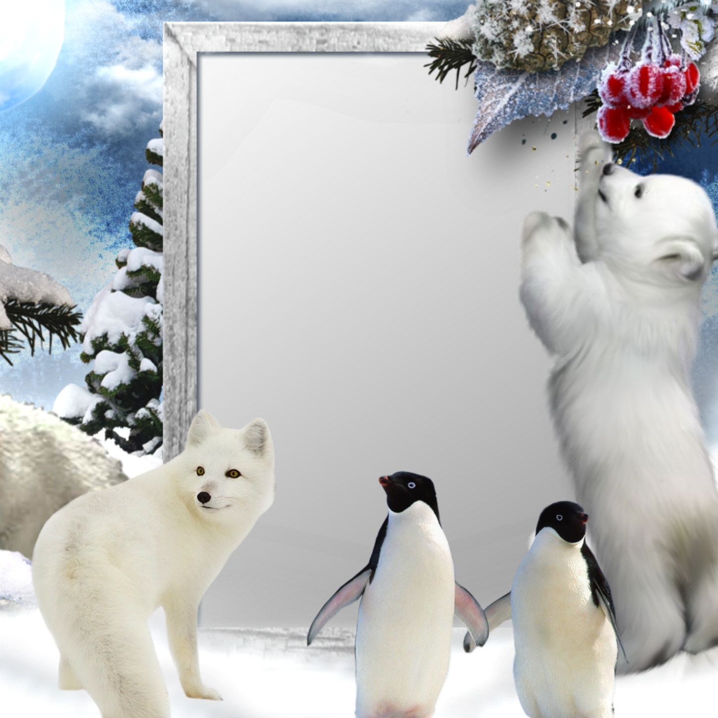 Emily50's Winter Frames - Winterlovewildlife - Winterlovewildlife