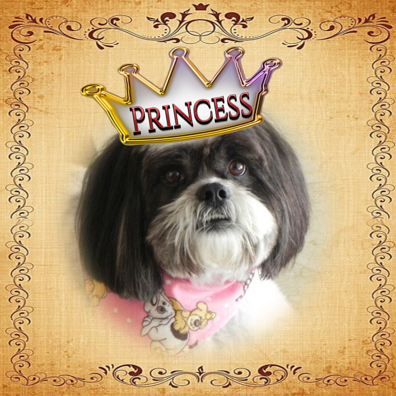 Mmhartley2's Everything Stream - Princess Dog Kids Love - Princess Dog ...