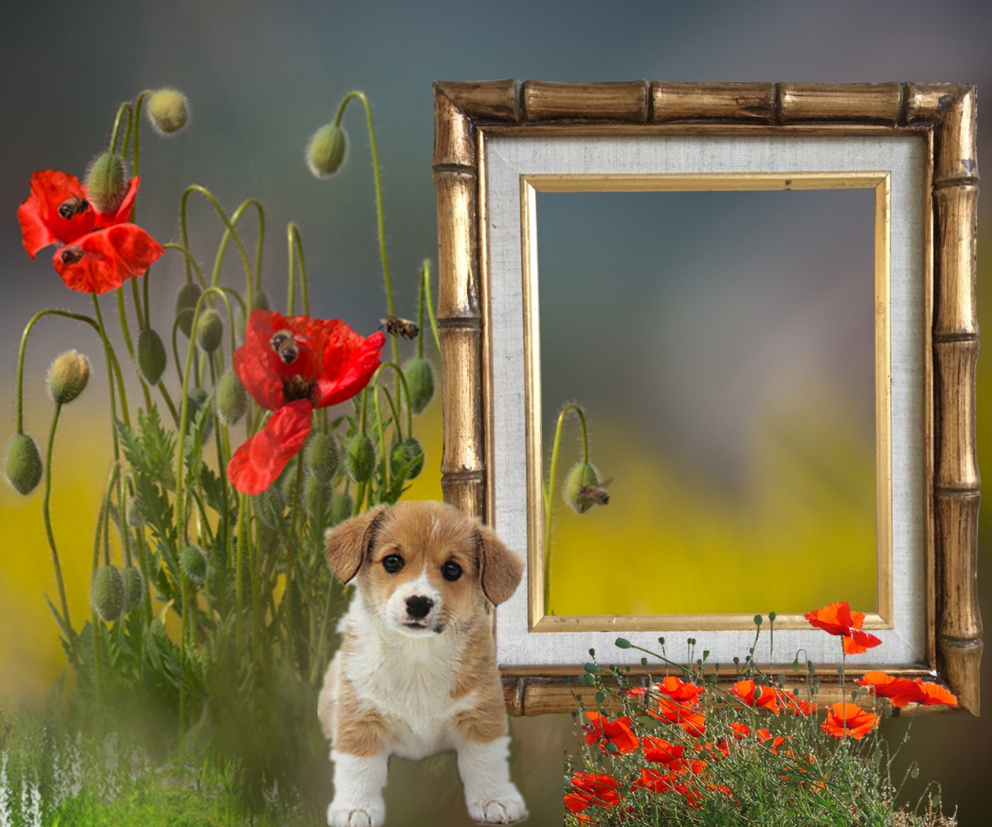 Emily50's First Day of Summer Frames - Summer Emily50 ...