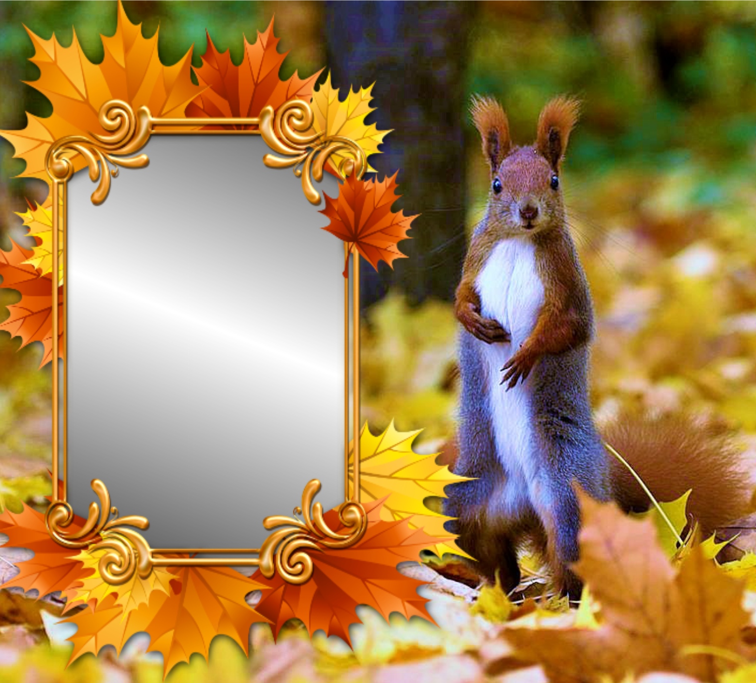 sterva1990's Fall Frames - 2017 October - Frame Sterva1990 fall - Frame ...