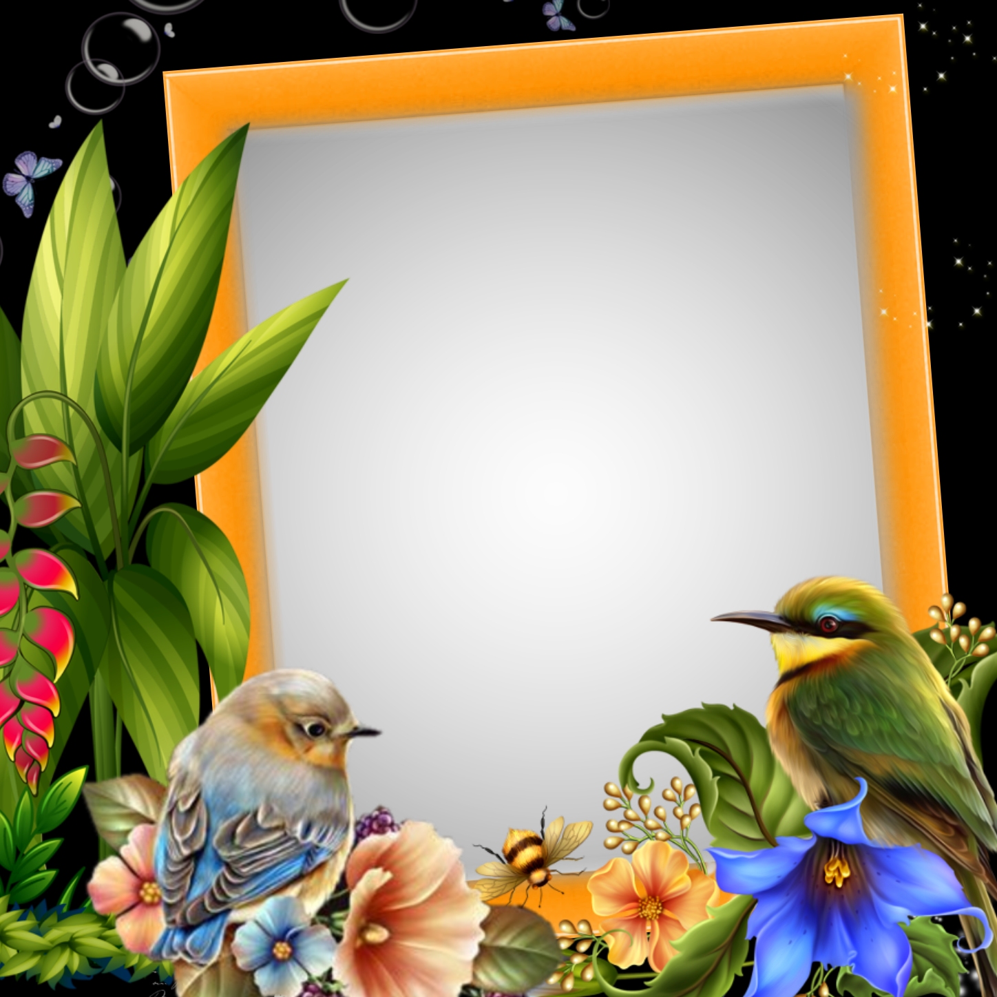 Emily50's First Day of Summer Frames - Birds Ghy01 first Day Of Summer ...