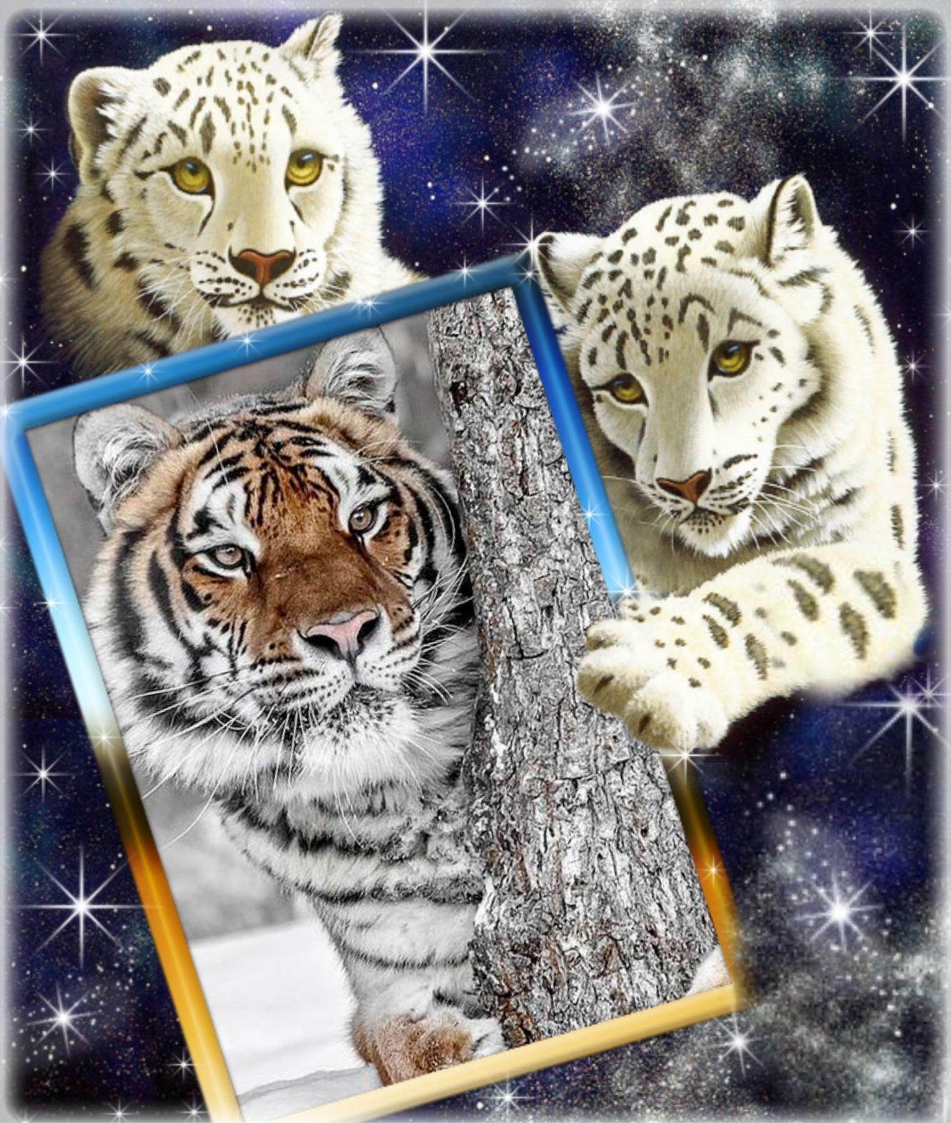 Sinnlich's Wildlife Frames - 2009 - 2011 - Sinnlich's Wildlife Frames ...