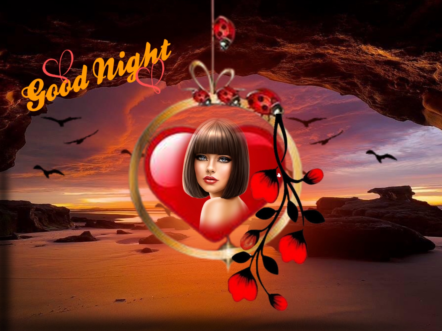 Wienie Coppen's Flowers,Goodnight,Sunset - birds goodnight ladybirds ...