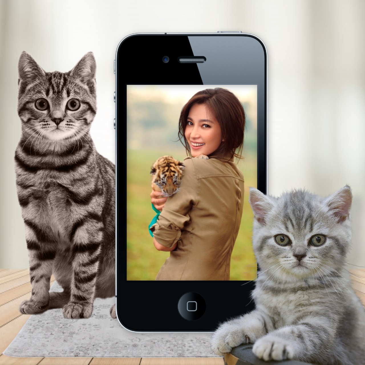 Elizabeth's CATS & DOGS 🐱 🐶 - Cats Pets Cellphone Electronics Elizabeth ...