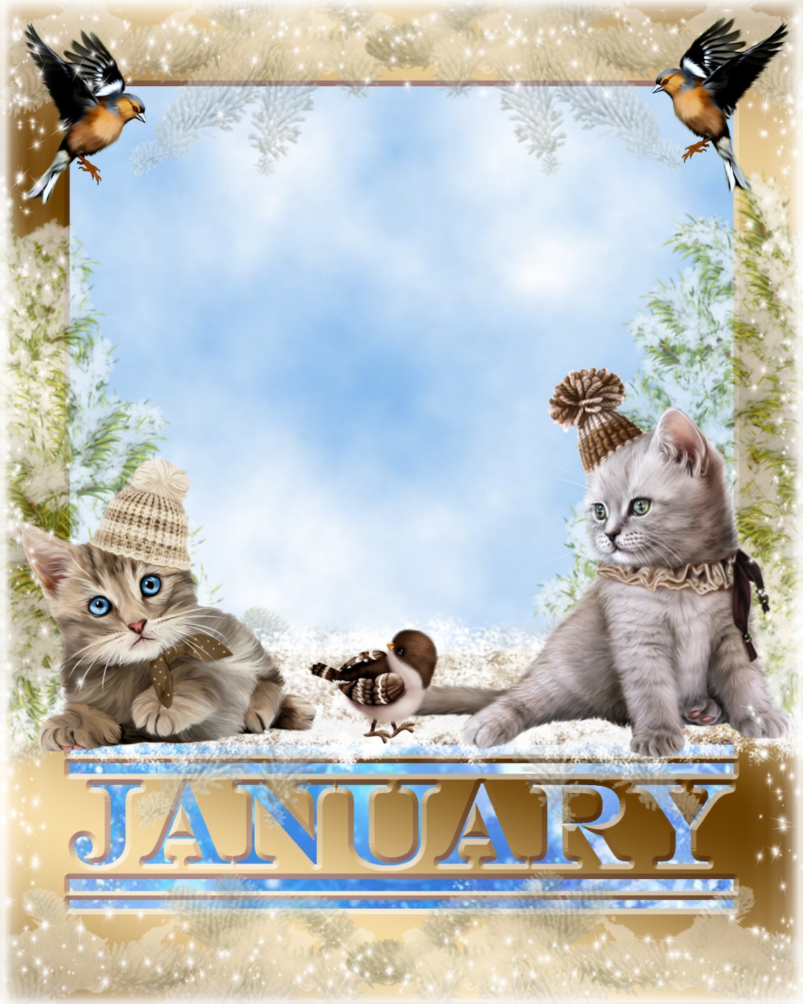 Sinnlich's ME! Frames - 2021 - January Frame Sinnlich Calendars Me Cats ...