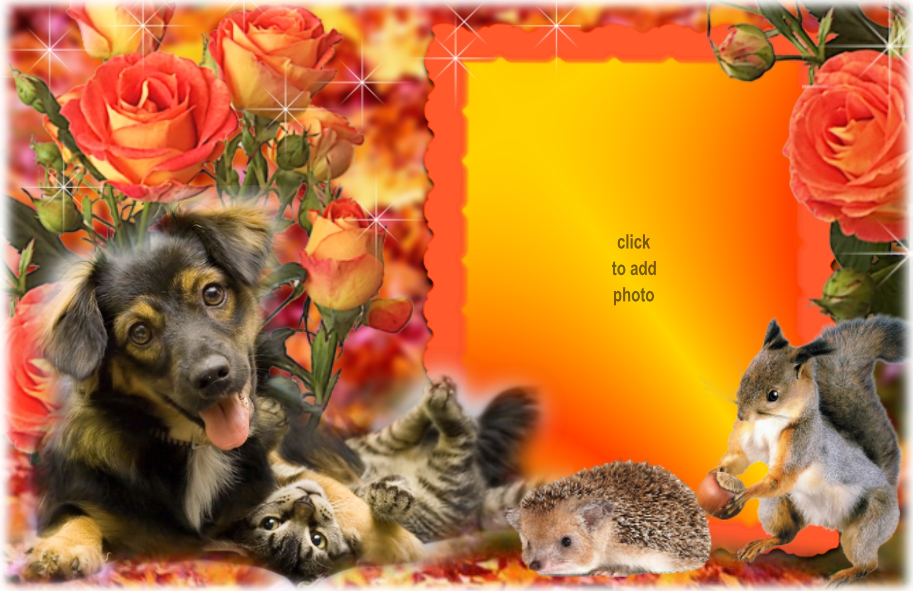 Sinnlich's Fall Frames - 2016 - 2016 - Animals Sinnlich Fall Dogs Cats ...