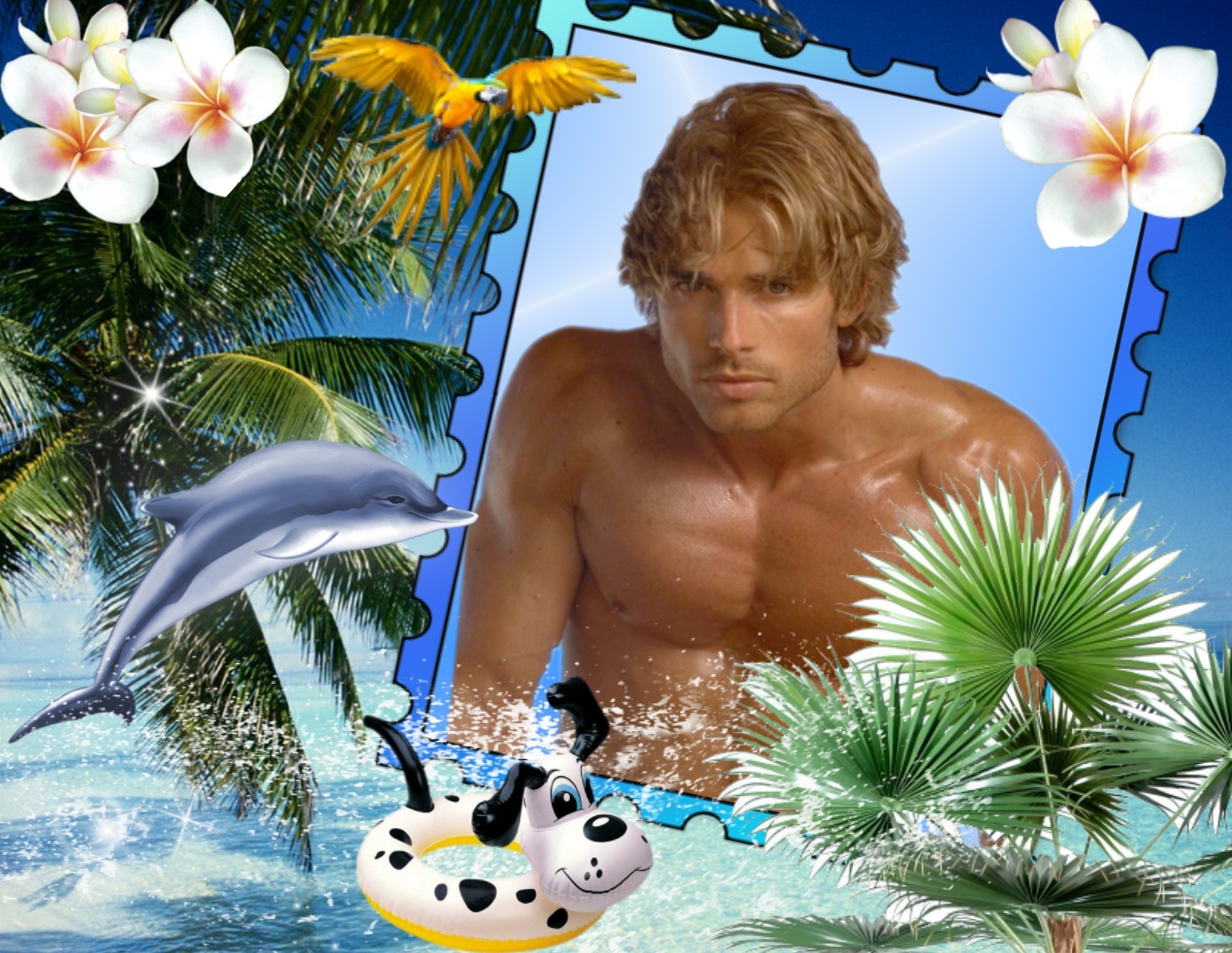 Sinnlich's Summer Frames - 2021 - Sinnlich's Summer Frames - 2021