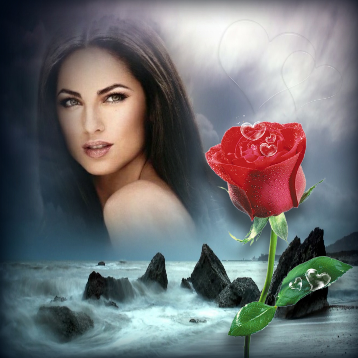 Elizabeth's THINKING OF/MISSING YOU 😘 3/4 - Red Rose Nature Elizabeth ...