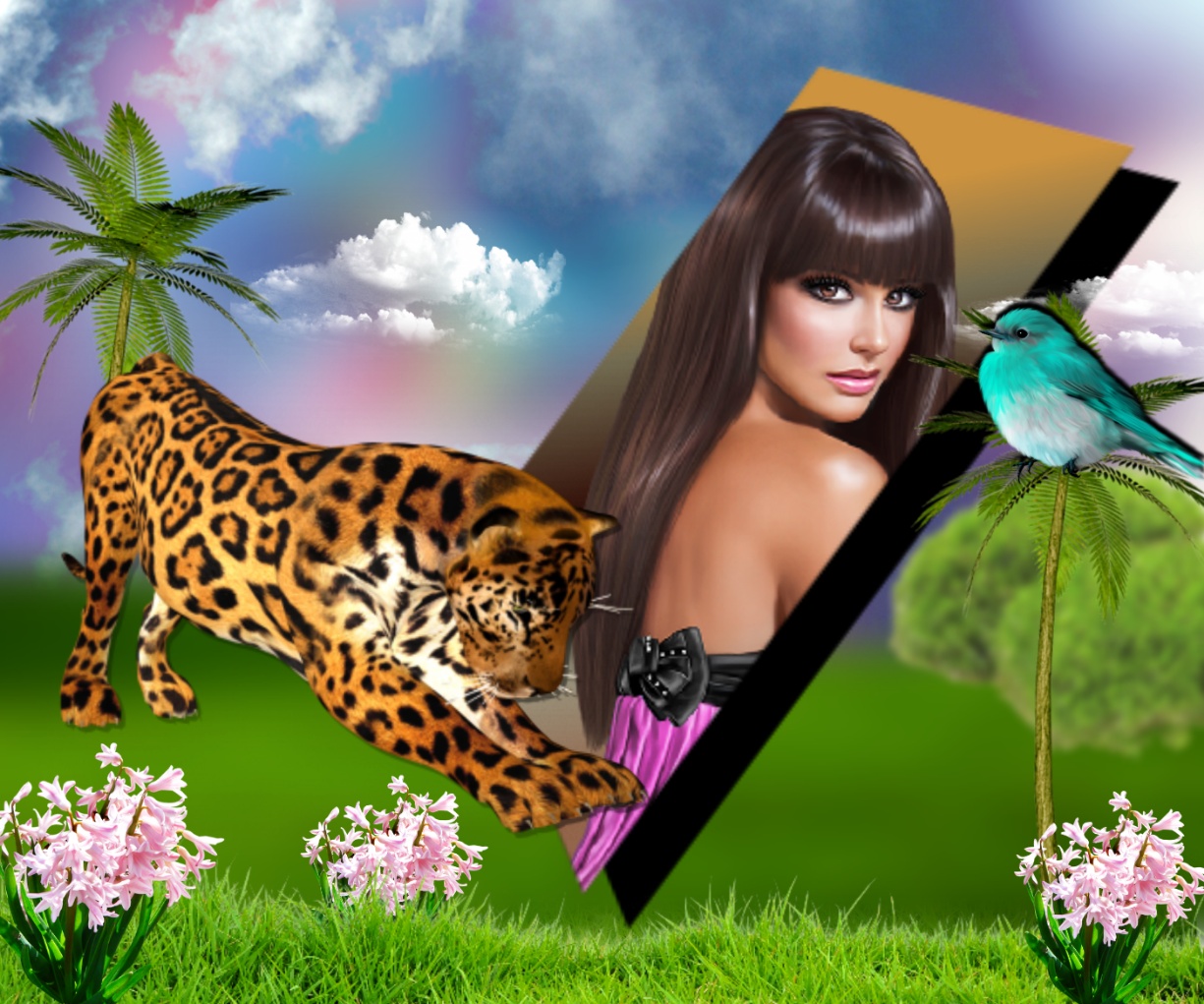 It'sMichelle's Wildlife Frames - Wildlife Nature - Wildlife Nature