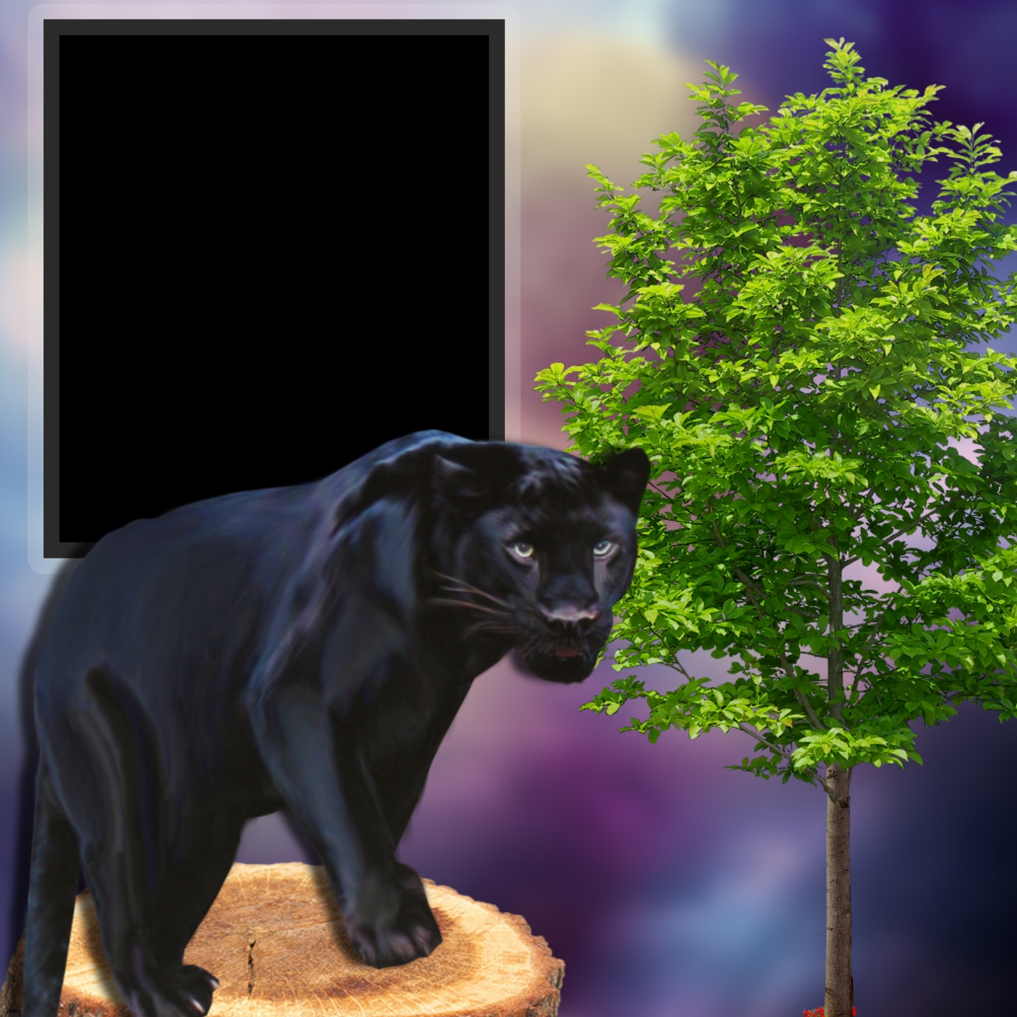 It'sMichelle's Wildlife Frames - 2016 July - Black panther Horror02 ...