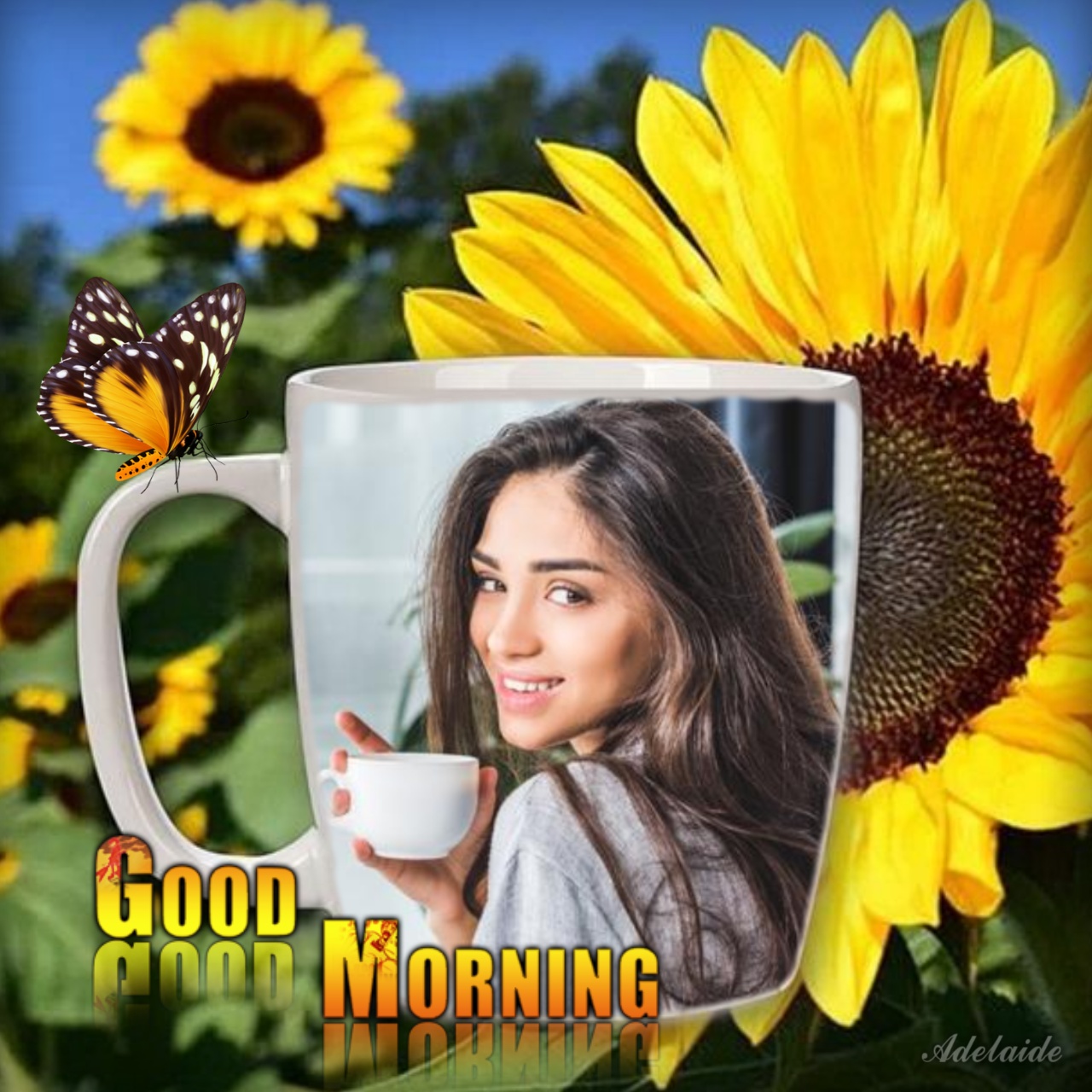 Adelaide's BOM DIA/NOITE🌅 🌇 GOOD MORNING/NIGHT - Adelaide - Adelaide ...