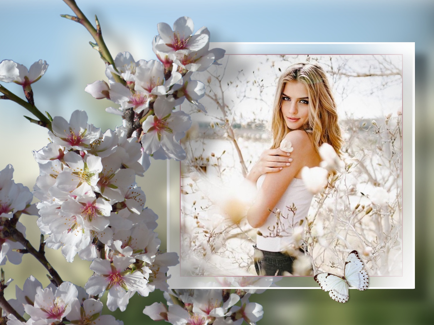 Elizabeth's SUMMER 😎 - Summer Summer Florals Summer Fun - Summer Summer ...