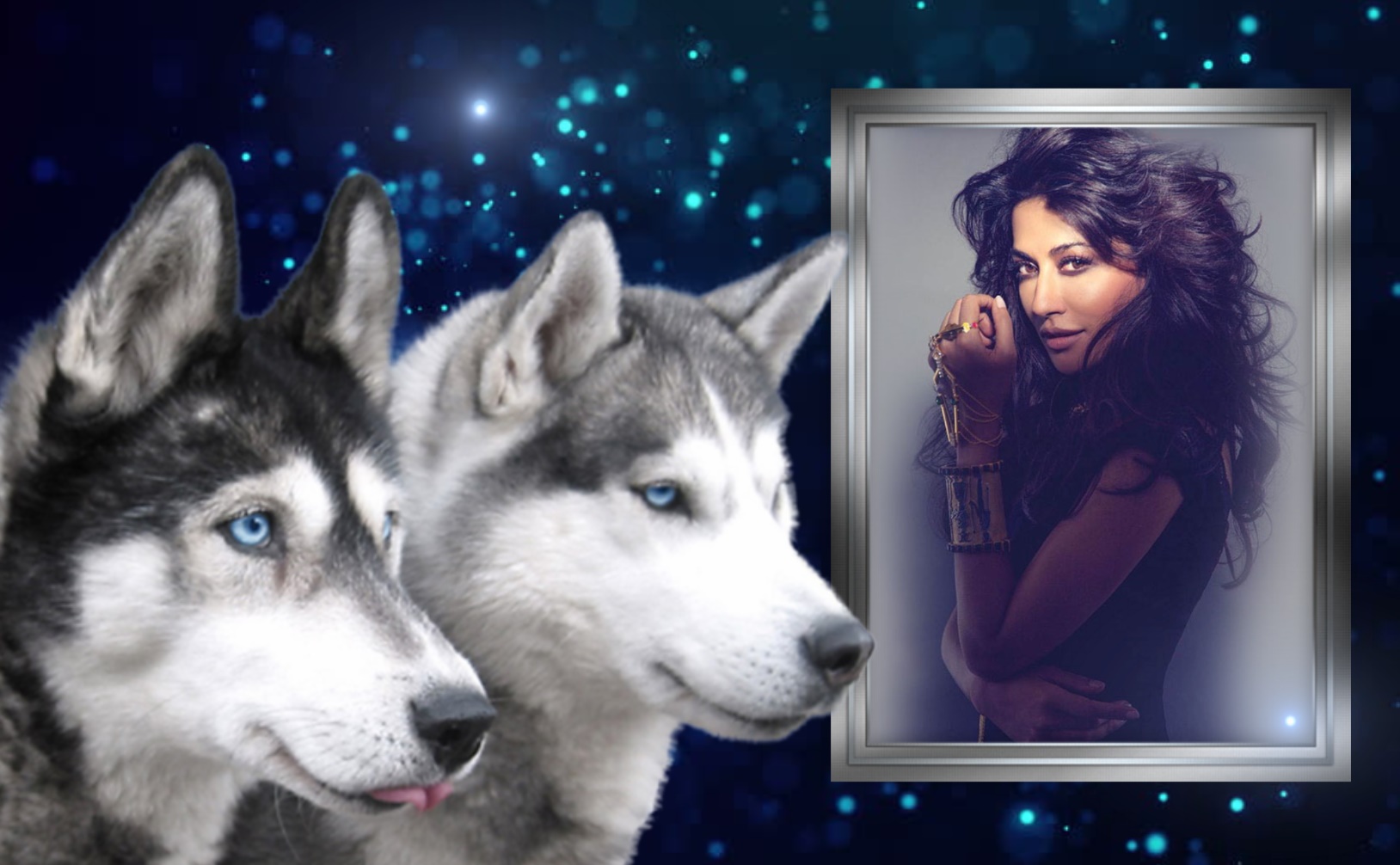 Elizabeth's CATS & DOGS 🐱 🐶 - Dogs Husky Pets Elizabeth - Dogs Husky ...