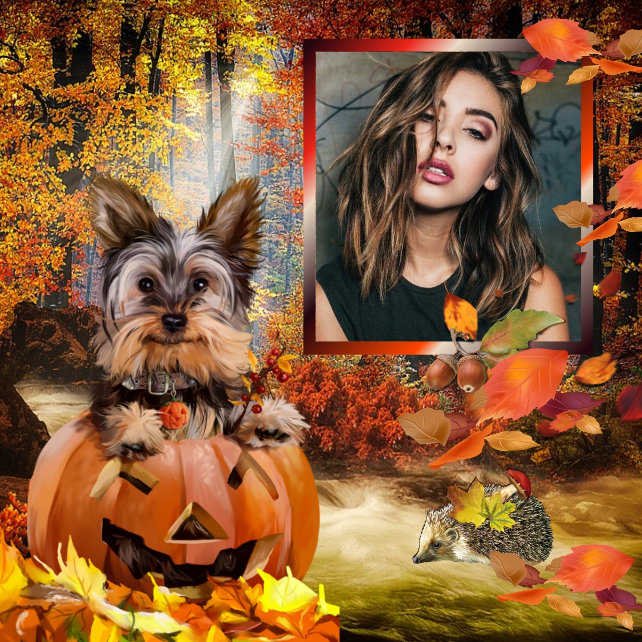 lissy's Fall Frames 🍁 - autumn fall halloween - autumn fall halloween