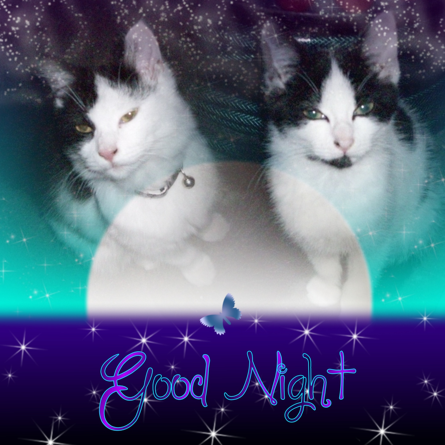 Queenie's Good Morning and Good Evening Frames - 2013 - Good Night ...