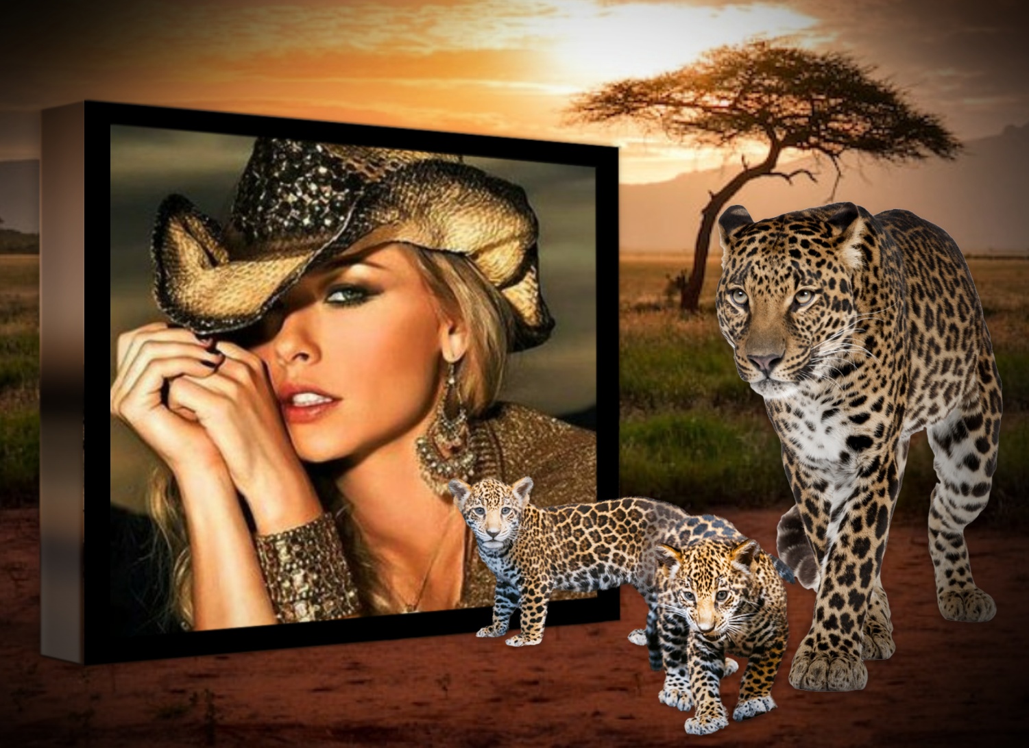 Elizabeth's ANIMALS & WILDLIFE 🙈 - Leopard Africa Elizabeth - Leopard ...