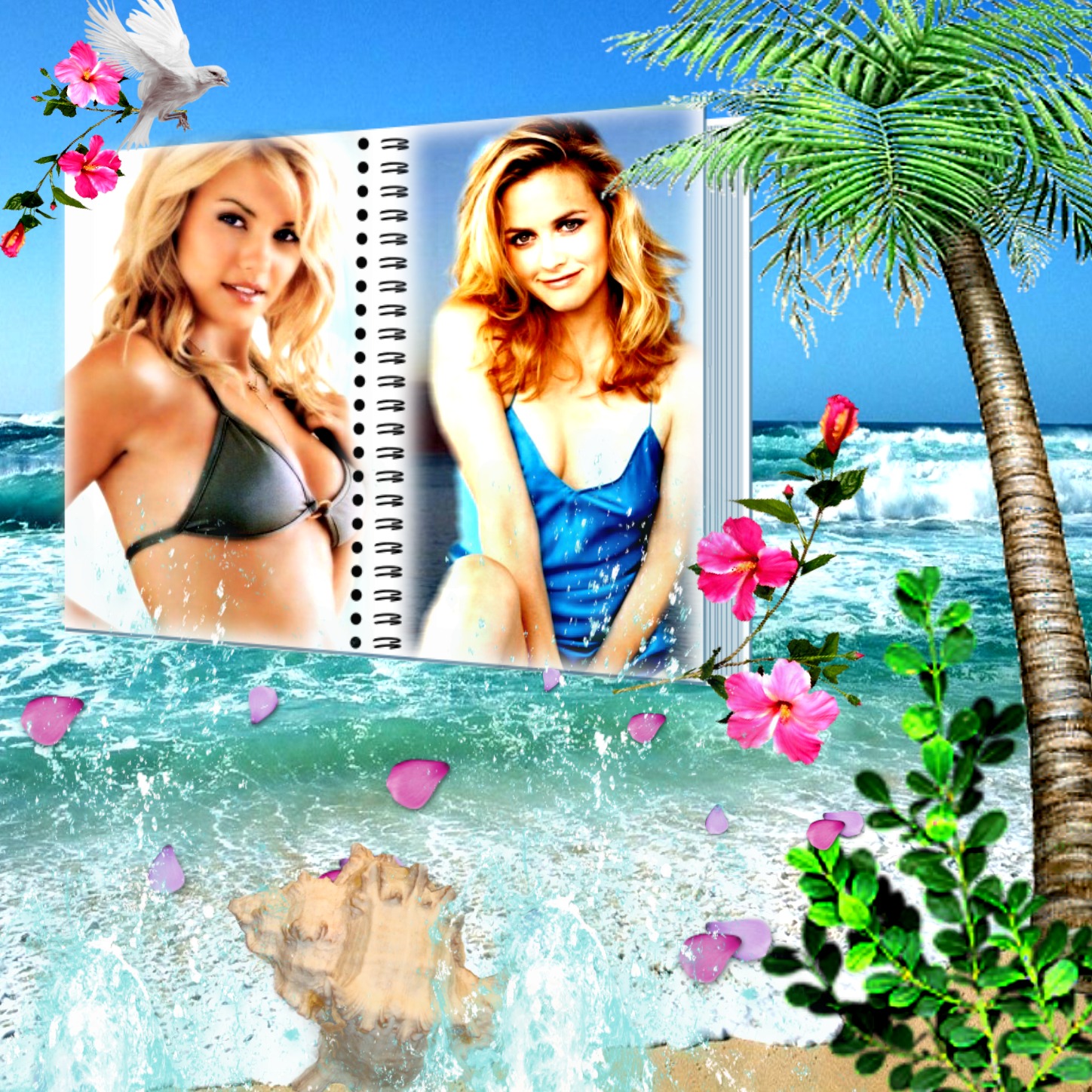 alma50's Sunsets, Scenery and Nature Frames - 2010 April - 2010 June - Beach Alma50 nature ...