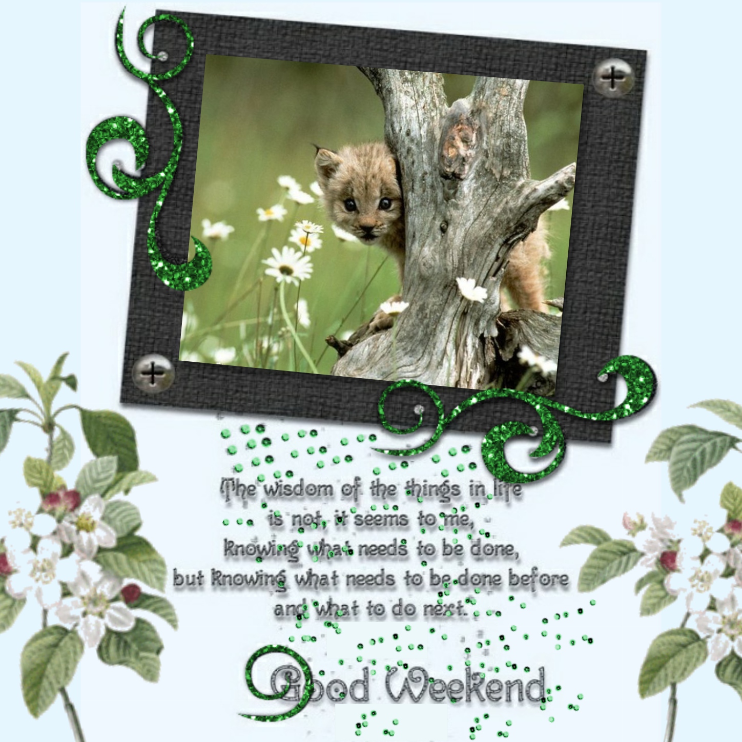 jbedwards007's Have a Great Weekend Frames - 2012 - Good Weekend ...