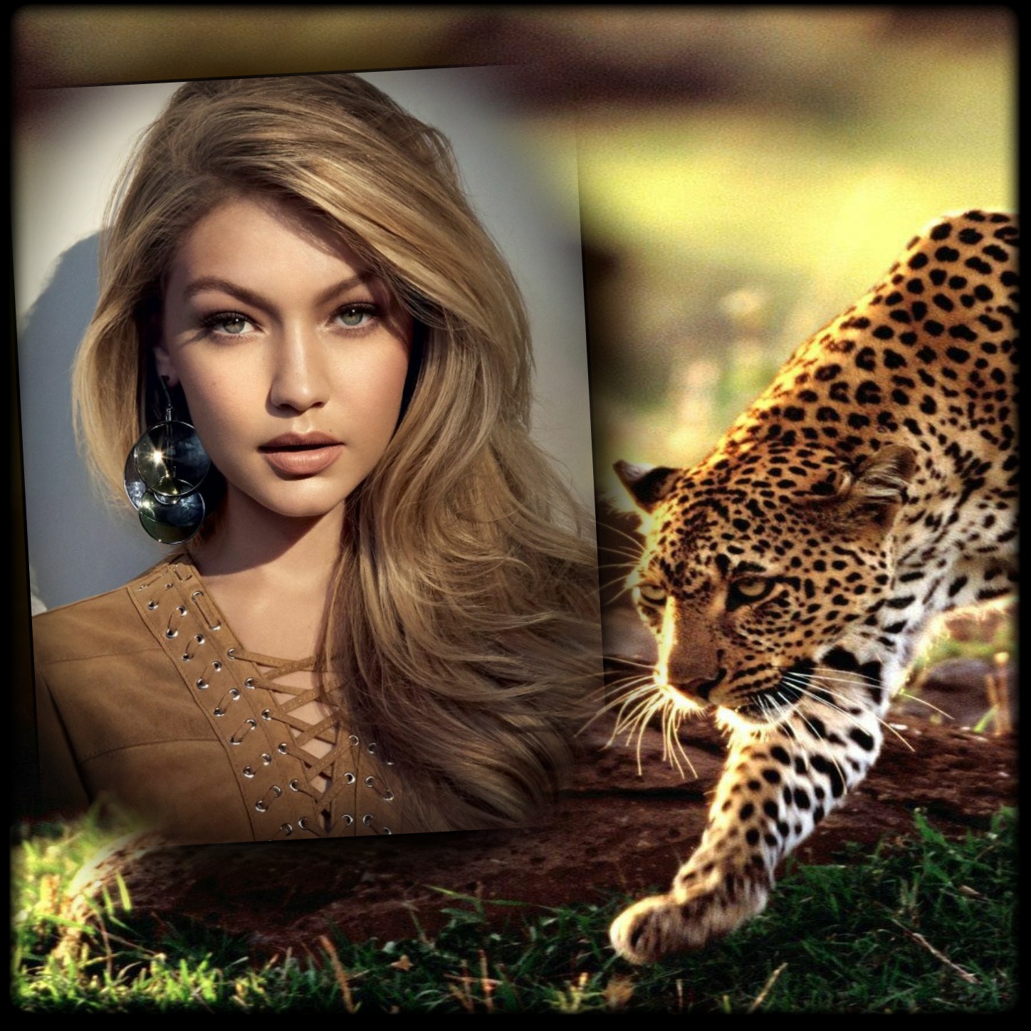 Elizabeth's ANIMALS & WILDLIFE 🙈 - Leopard Elizabeth - Leopard Elizabeth