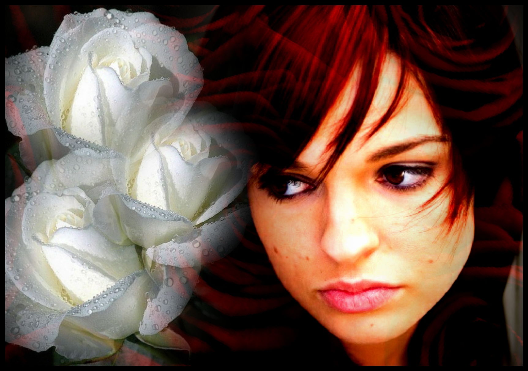 ZingerBug's Kimi Art Frames - 2009 March - 2009 April - White Roses ...