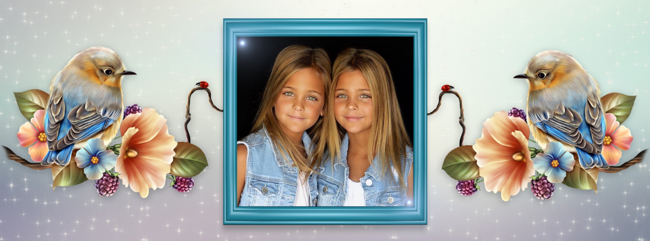 Elizabeth's FACEBOOK PROFILE COVER 🟦 - Facebook Profile Cover Social ...