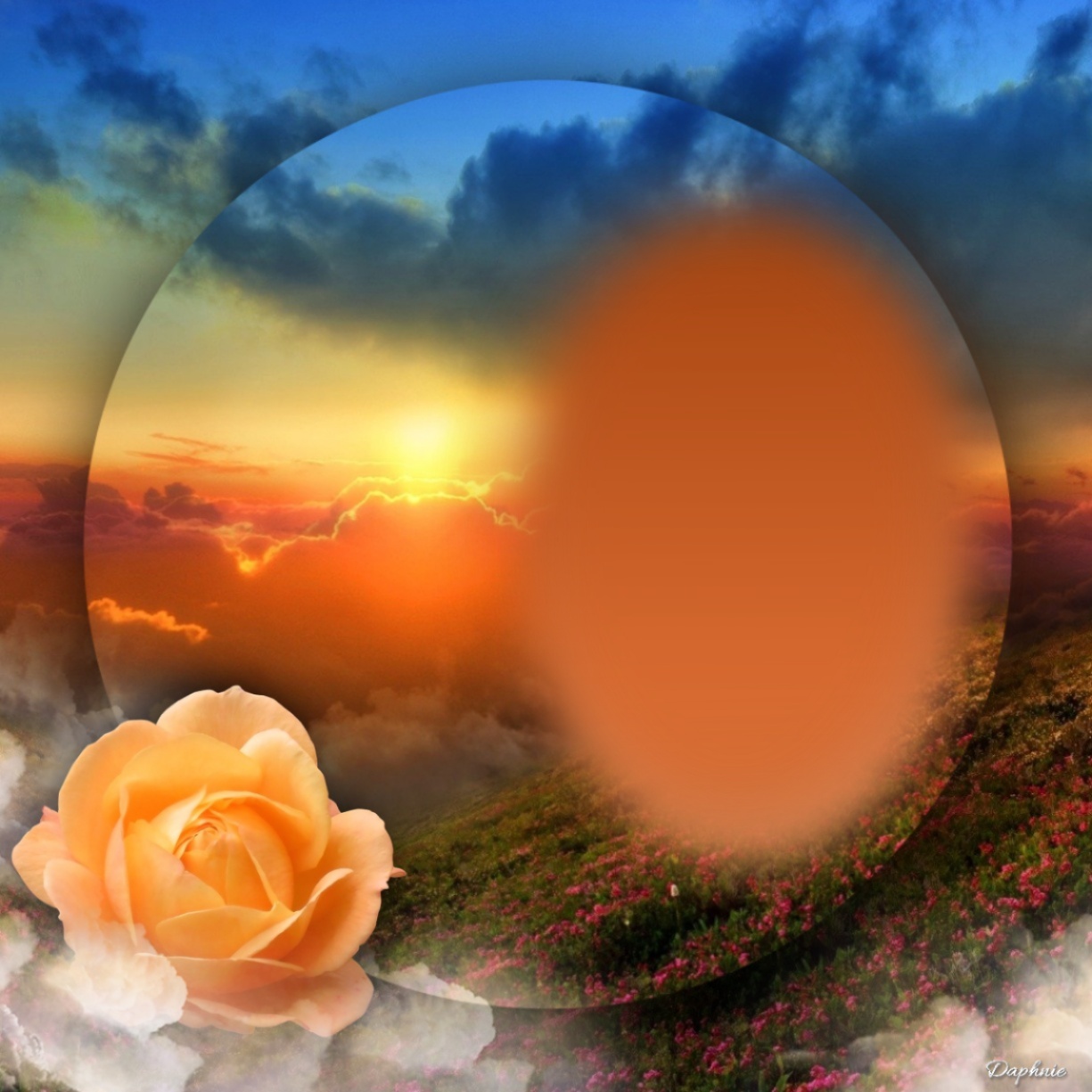 Daphnie's Scenery - Nature Scenery Daphnie - Nature Scenery Daphnie