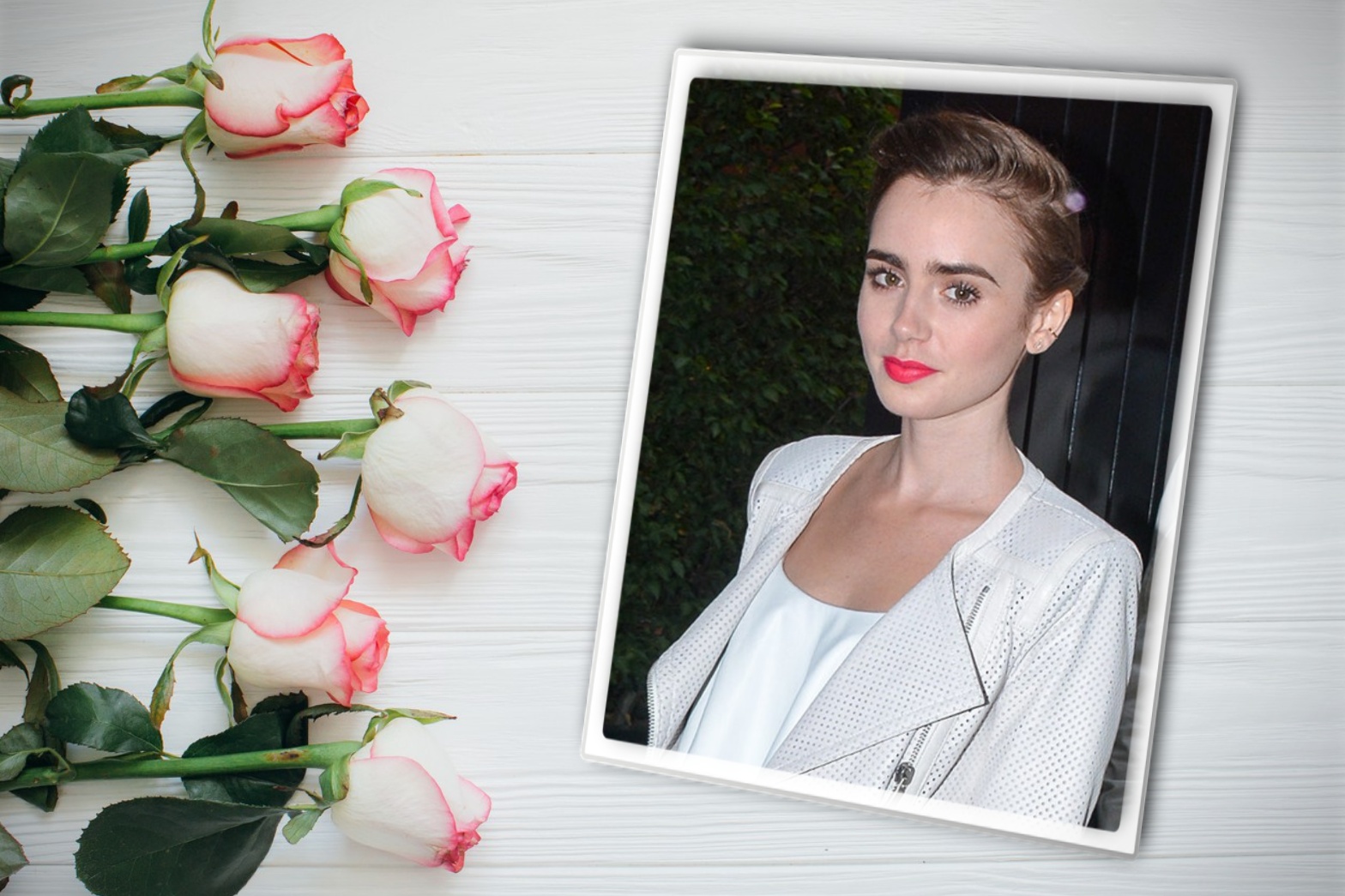 Jezebel64's Floral - Pink Rose Jezebel64 Portrait White Rose Picture ...