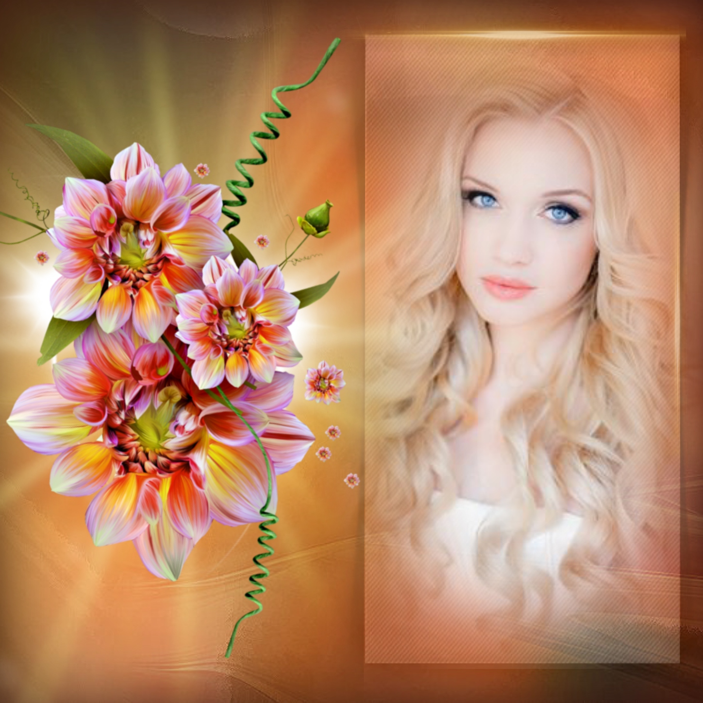 Adelaide's FLORES 💐 FLOWERS - 2016 April - 2016 May - 2016 April - 2016 May - Adelaide - Flores ...