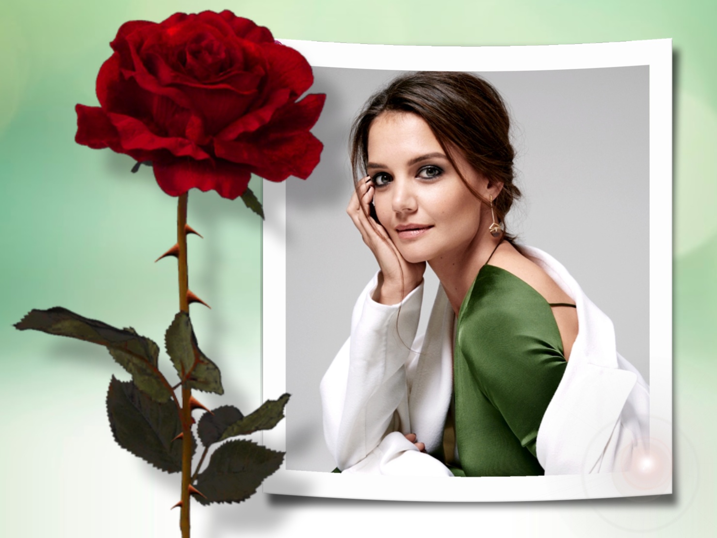 Jezebel64s Portrait Portrait Jezebel64 Red Rose My Girl Have A Great