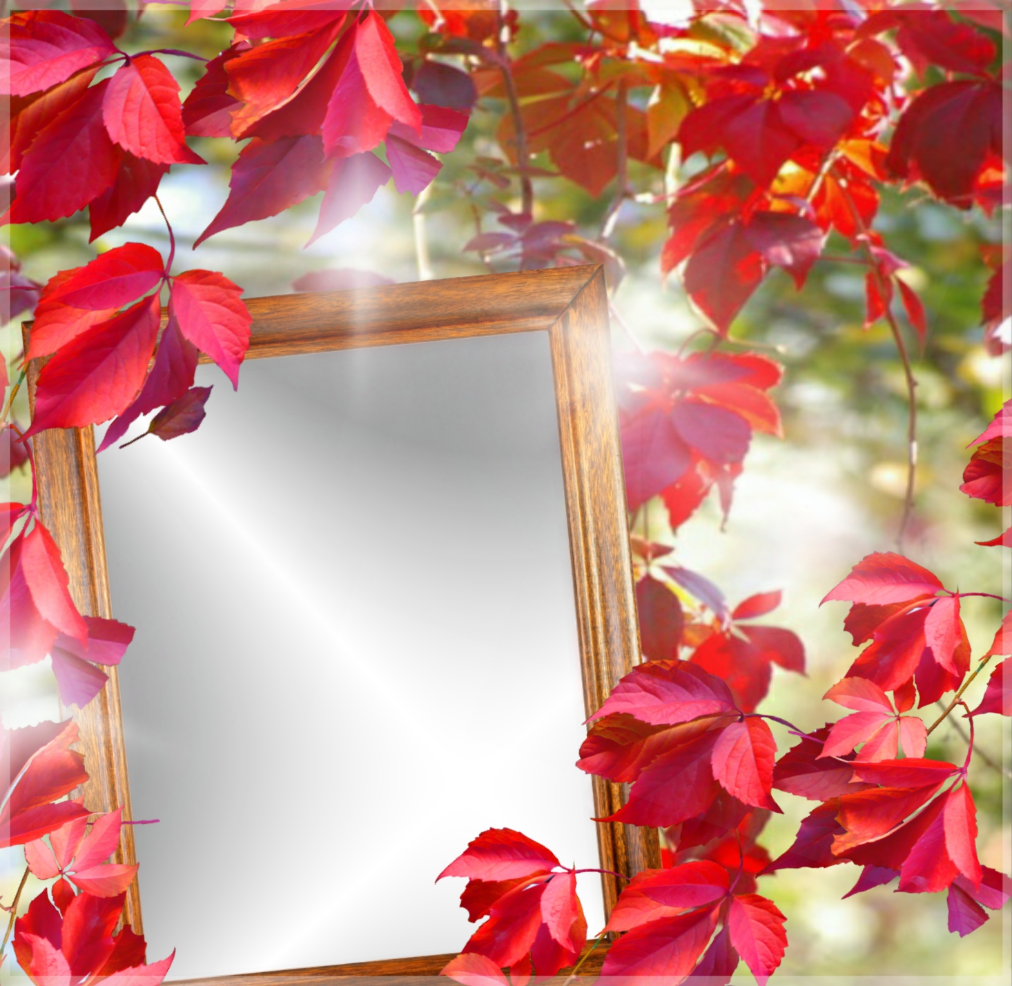 evmasy's In Memory Of... Frames - 2011 October - 2011 November - autumn ...