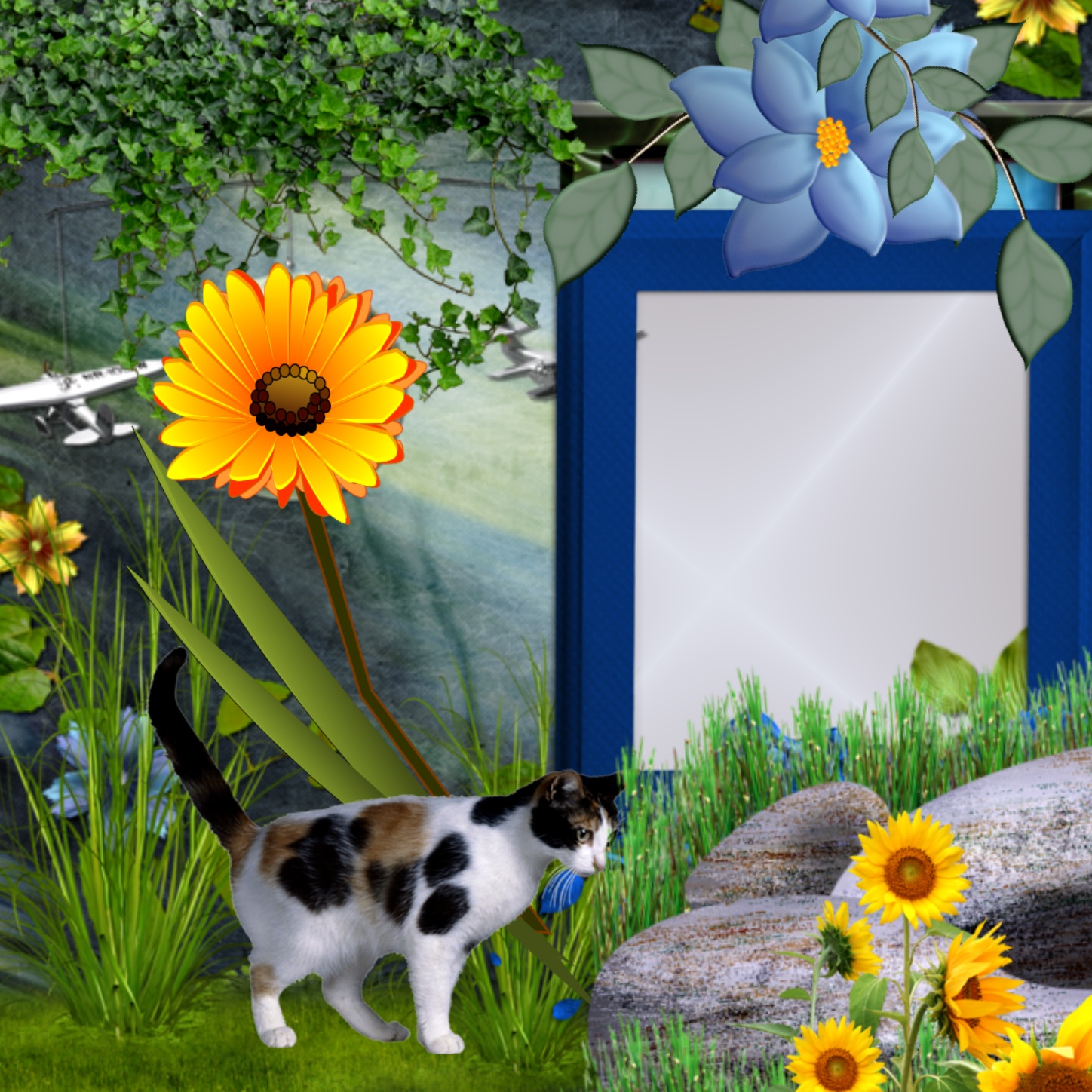 Emily50's Summer Frames - Summer CatPicture Frames - Summer CatPicture ...