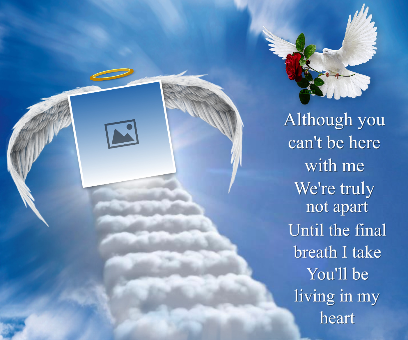 pussycatlady22's In Memory Of... Frames - 2018 February - In Loving ...