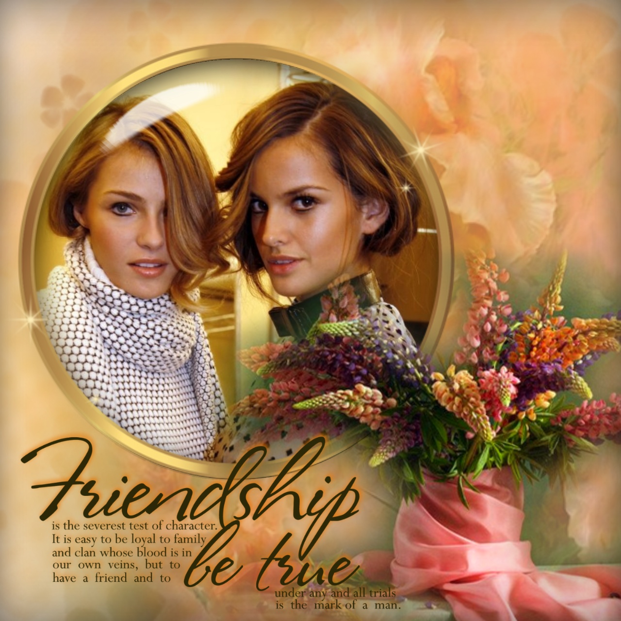 Adelaide's AMIGOS - AMIZADE - FRIENDS - FRIENDSHIP - Adelaide ...