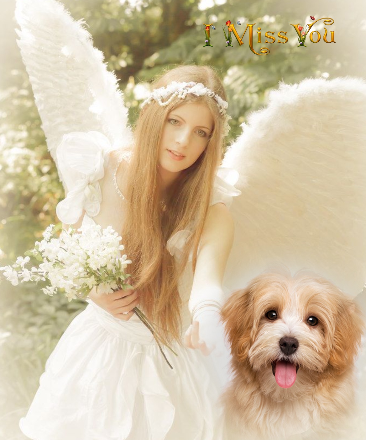 Elaine S Angels 2022 Angels 2022 Elaine S Angels 2022 Angels 2022