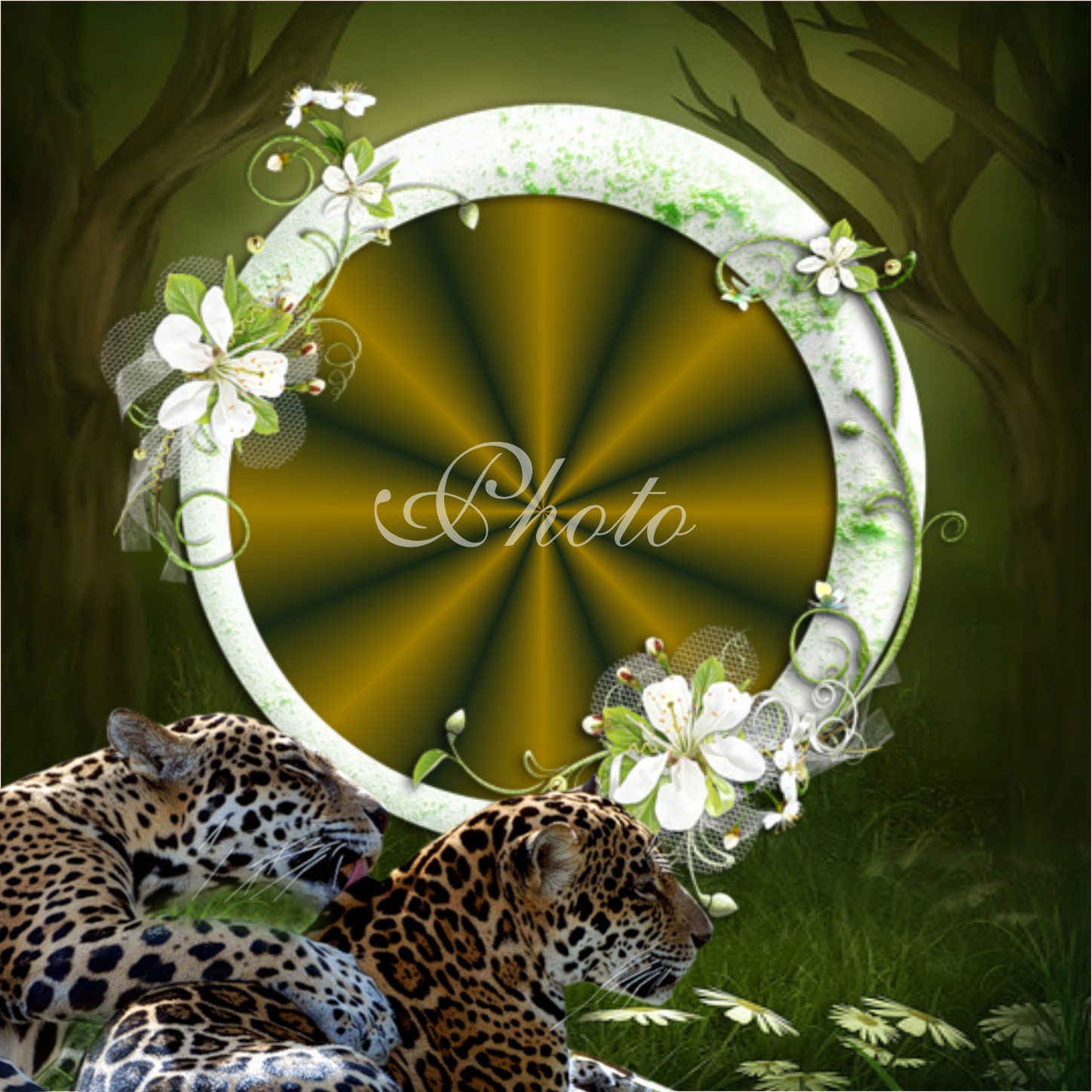 TAMMYBRANTLEY's Picture Frames - 2012 April - Wilderness Wilderness ...