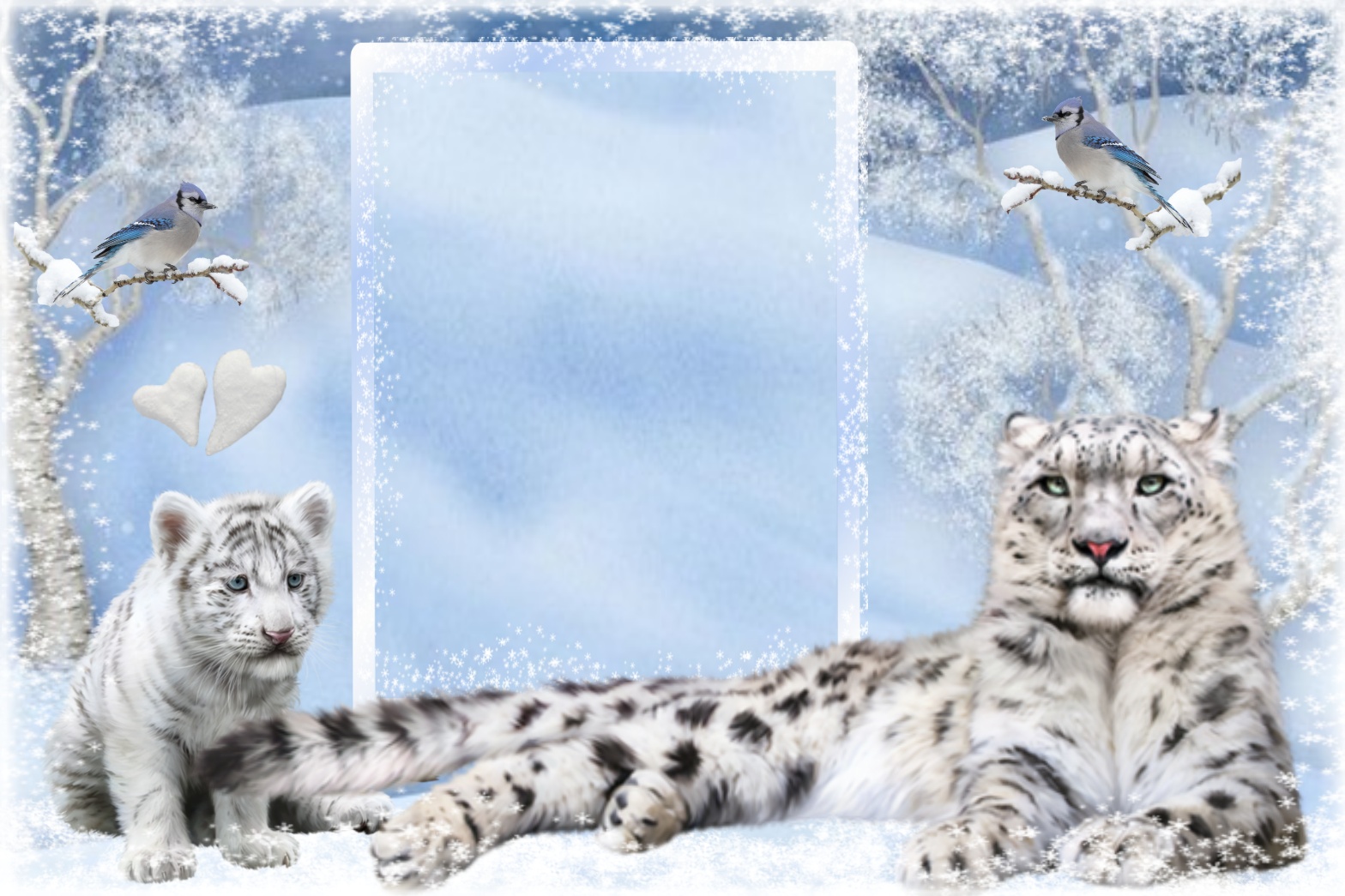 Sinnlich's Wildlife Frames - 2021 Wolf - White Tiger Sinnlich Wildlife ...