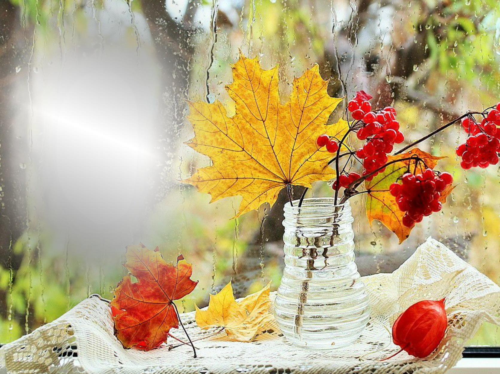 sterva1990's Fall Frames - 2017 October - 2017 October - Frame ...