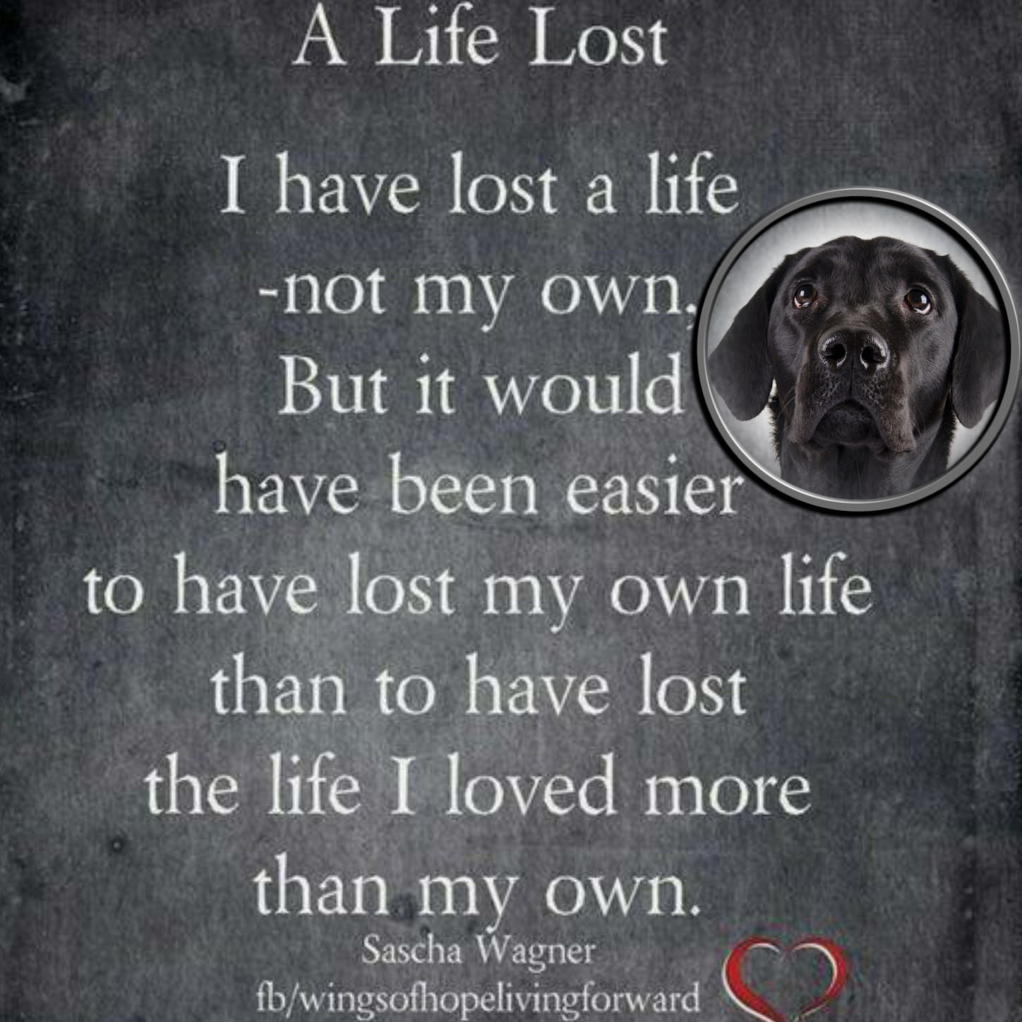 Elaine's In Memory Of... Frames - 2017 October - Lost Life Joycewitt in ...