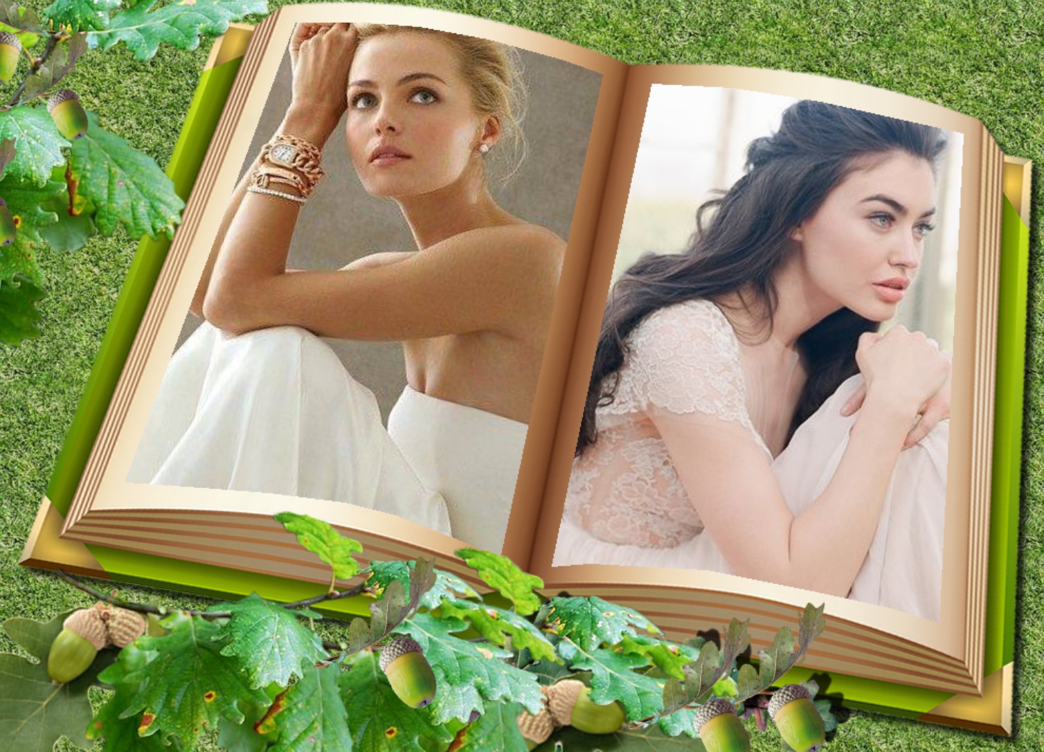 Emily50's Nature and Sunset - Emily50 family Portrait - Emily50 family ...