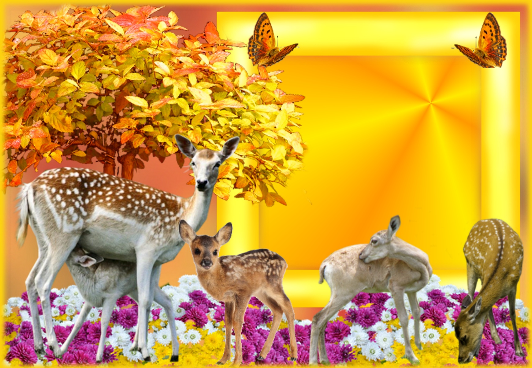 Sinnlich's Wildlife Frames - 2017 - Cute Deer Family Sinnlich wildlife ...