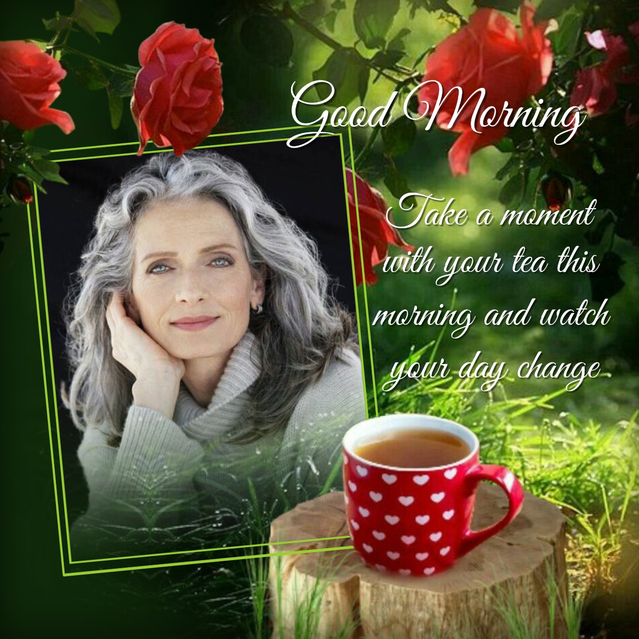 Adelaide's BOM DIA/NOITE🌅 🌇 GOOD MORNING/NIGHT - Adelaide - Adelaide ...