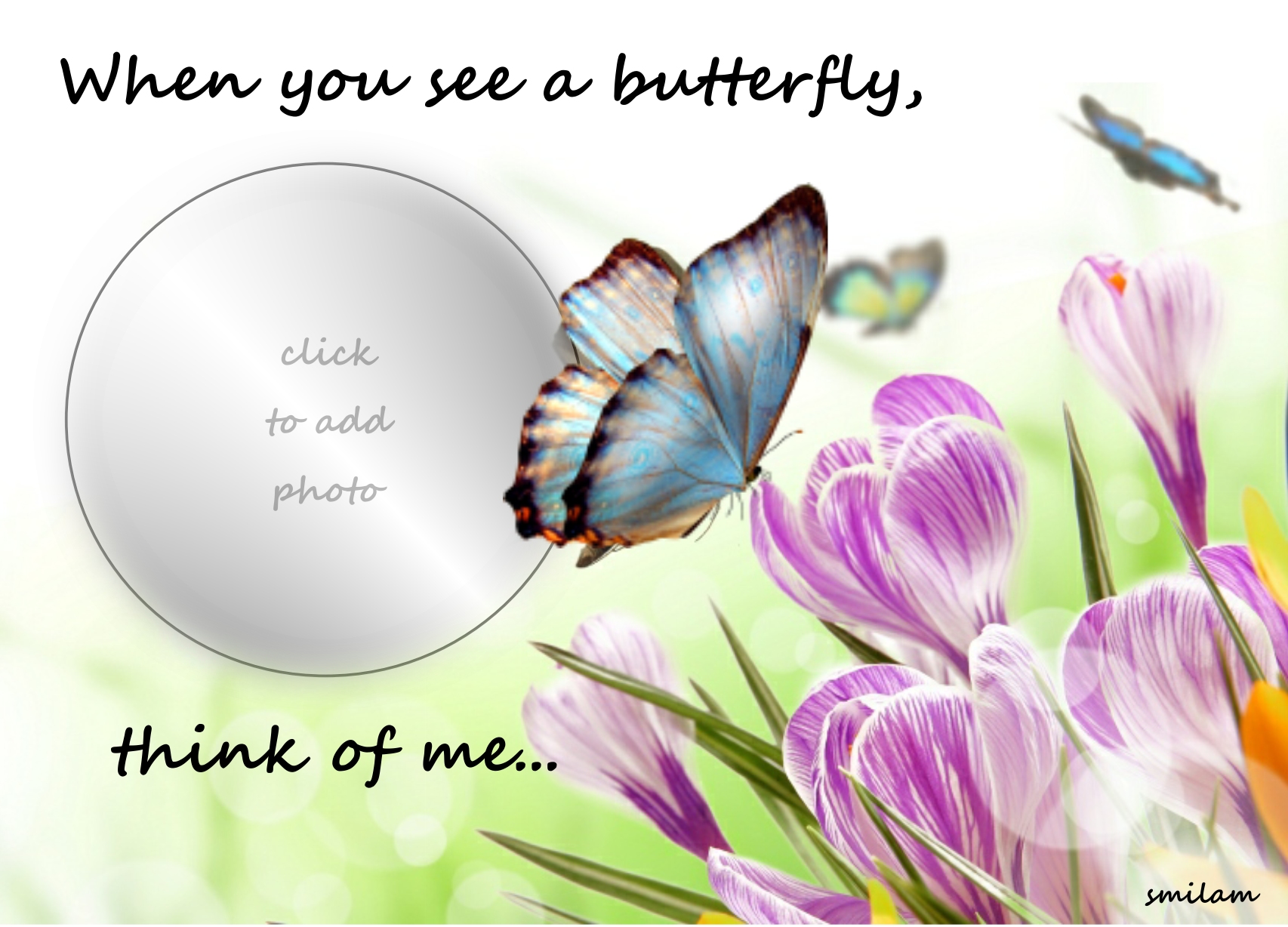 smilam's In Memory Of... Frames - When you see a butterfly, think of me ...