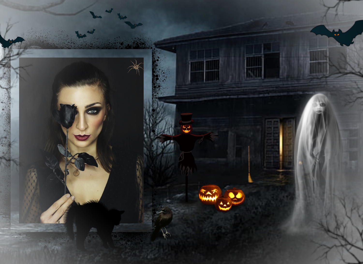 Elizabeth's HALLOWEEN 🎃 1/2 - Halloween Halloween Cat Halloween Ghost ...