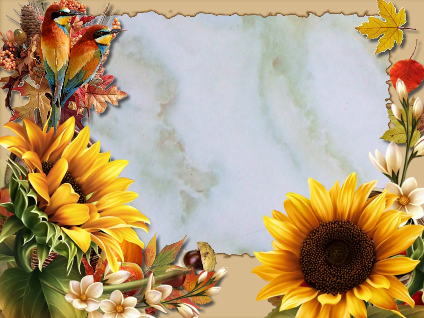 Emily50's Vintage - Vintage Autumn ...