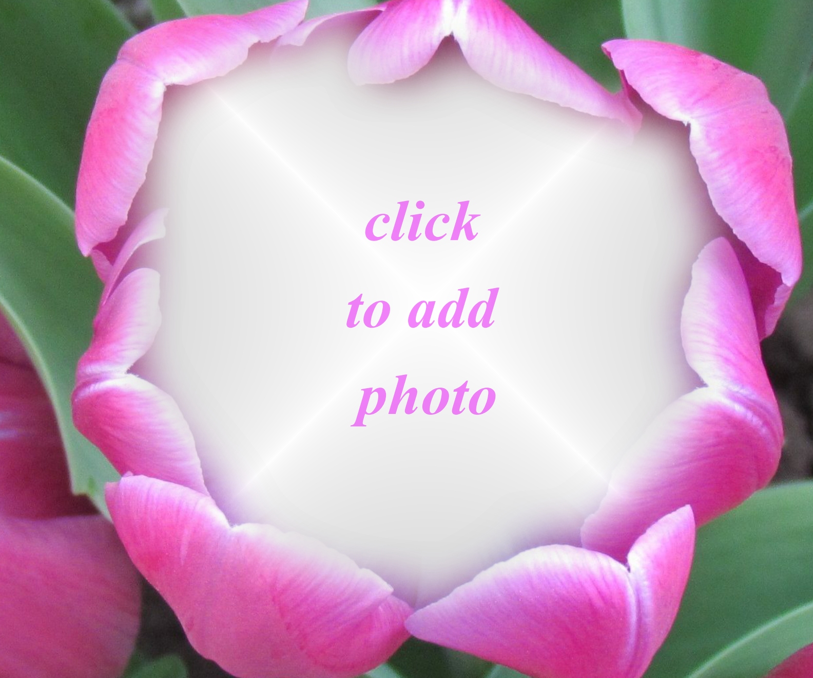 Emily50's Comment Frames - Flower frame Ghy01 you Rock - Flower frame ...