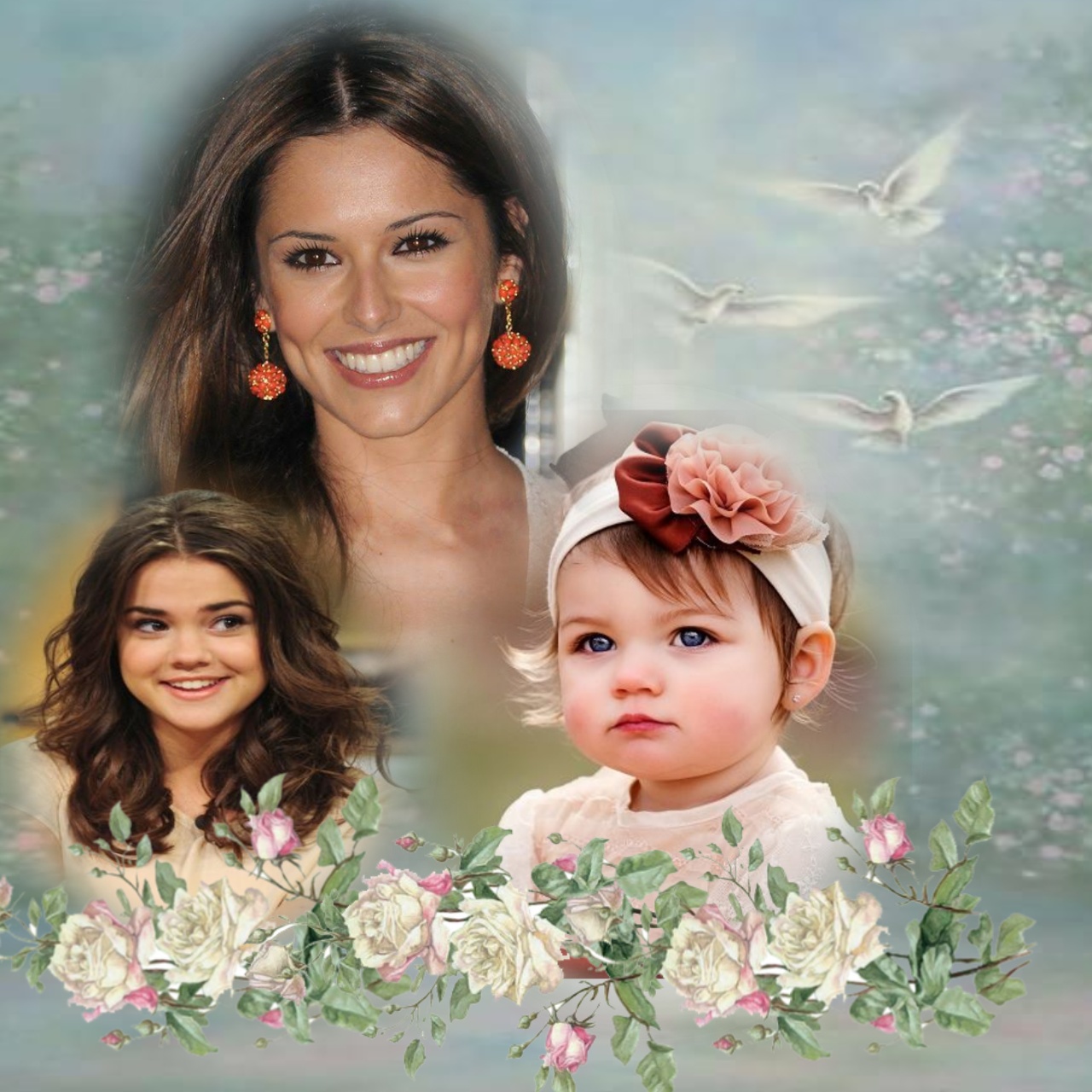 Mmhartley2's Everything Stream - Shadow Love Roses Beautiful - Shadow ...